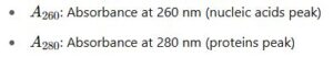 How to Calculate A260/A280 Ratio for DNA & RNA Purity