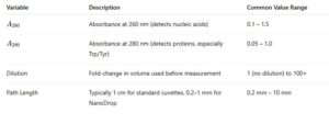 How to Calculate A260/A280 Ratio for DNA & RNA Purity